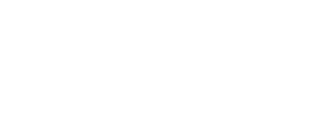 Danbi logo